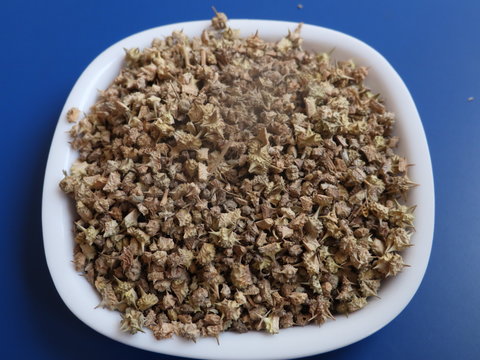 Gokhru Images – Browse 35 Stock Photos, Vectors, and Video | Adobe Stock