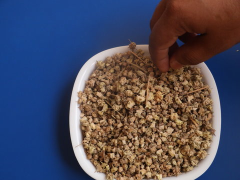 Gokhru Images – Browse 35 Stock Photos, Vectors, and Video | Adobe Stock