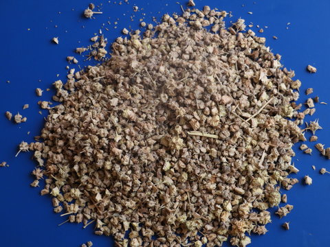 Gokhru Images – Browse 35 Stock Photos, Vectors, and Video | Adobe Stock