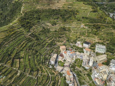 Manarolla Images – Browse 49 Stock Photos, Vectors, and Video | Adobe Stock