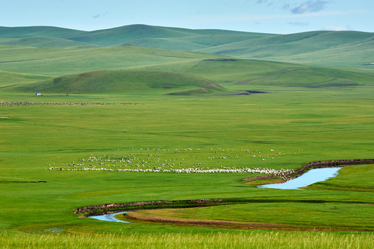 รูปภาพHulunbuir – เลือกดูภาพถ่ายสต็อก เวกเตอร์ และวิดีโอ685 | Adobe Stock