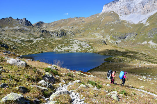 Nobod Images – Browse 357 Stock Photos, Vectors, and Video | Adobe Stock