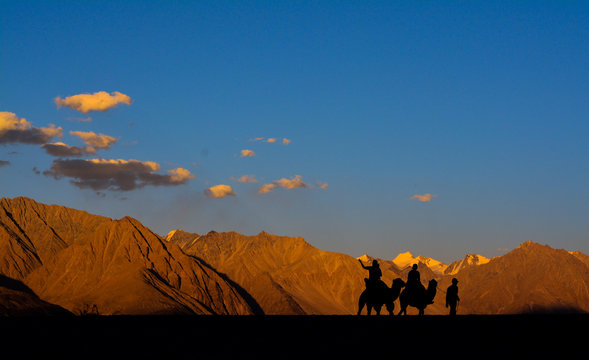 Nobra Bilder – Durchsuchen 3,904 Archivfotos, Vektorgrafiken und Videos ...