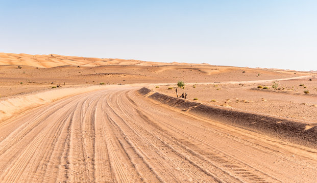 รูปภาพWahabi – เลือกดูภาพถ่ายสต็อก เวกเตอร์ และวิดีโอ337 | Adobe Stock