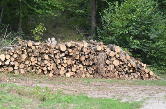 Grume Images – Parcourir 687 le catalogue de photos, vecteurs et vidéos ...