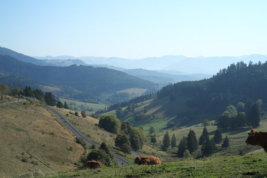 รูปภาพTodnauberg – เลือกดูภาพถ่ายสต็อก เวกเตอร์ และวิดีโอ5 | Adobe Stock