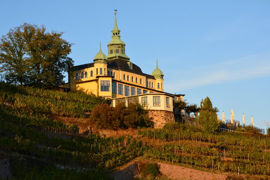 Radebeul Images – Browse 1,135 Stock Photos, Vectors, and Video | Adobe ...