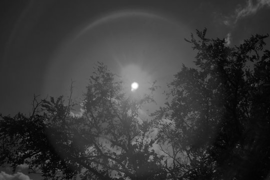 Venac Images – Browse 77 Stock Photos, Vectors, and Video | Adobe Stock