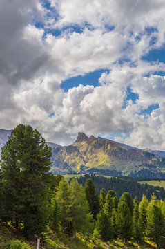 Seisser Images – Browse 124 Stock Photos, Vectors, and Video | Adobe Stock