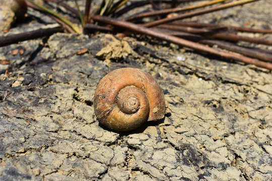 รูปภาพLodoso – เลือกดูภาพถ่ายสต็อก เวกเตอร์ และวิดีโอ88 | Adobe Stock