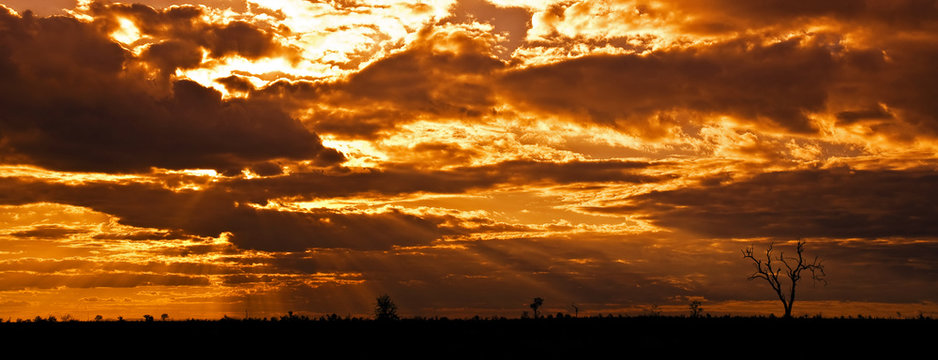 Bushveld Images – Browse 10,982 Stock Photos, Vectors, and Video ...