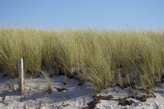 Pflock bilder – Bläddra bland 710 stockfoton, vektorer och videor ...