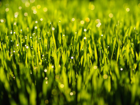 รูปภาพAuttum – เลือกดูภาพถ่ายสต็อก เวกเตอร์ และวิดีโอ151 | Adobe Stock