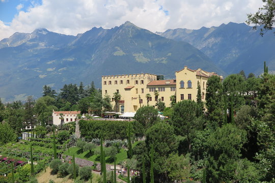 รูปภาพTraut – เลือกดูภาพถ่ายสต็อก เวกเตอร์ และวิดีโอ99 | Adobe Stock