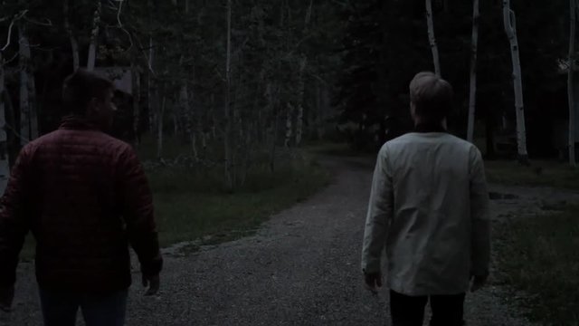 Two Guys Walking Night Images – Browse 449 Stock Photos, Vectors, and ...