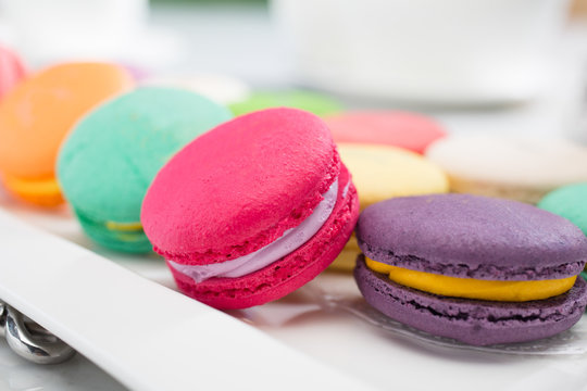 รูปภาพMagaroon – เลือกดูภาพถ่ายสต็อก เวกเตอร์ และวิดีโอ80 | Adobe Stock