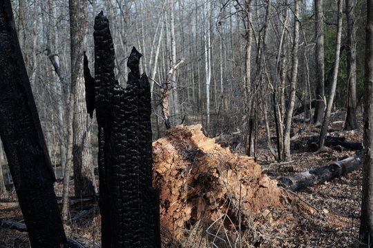 รูปภาพVerbrannter – เลือกดูภาพถ่ายสต็อก เวกเตอร์ และวิดีโอ146 | Adobe Stock