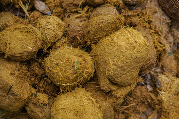 Elephant Poop photos, royalty-free images, graphics, vectors & videos ...