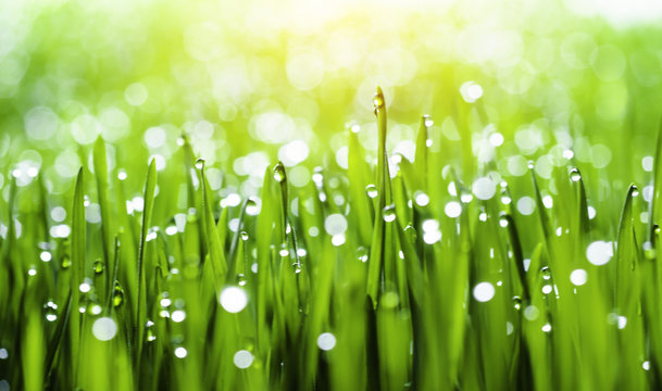 รูปภาพAuttum – เลือกดูภาพถ่ายสต็อก เวกเตอร์ และวิดีโอ151 | Adobe Stock