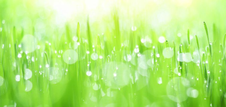 รูปภาพAuttum – เลือกดูภาพถ่ายสต็อก เวกเตอร์ และวิดีโอ151 | Adobe Stock