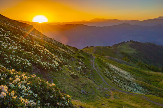 Tushetia Bilder – Durchsuchen 2,474 Archivfotos, Vektorgrafiken und ...