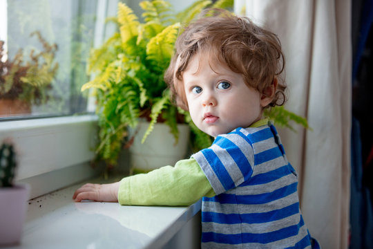 รูปภาพTodler – เลือกดูภาพถ่ายสต็อก เวกเตอร์ และวิดีโอ5,365 | Adobe Stock