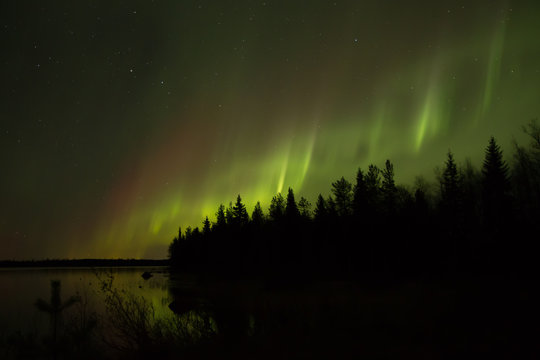 54 BEST Revontulet IMAGES, STOCK PHOTOS & VECTORS | Adobe Stock