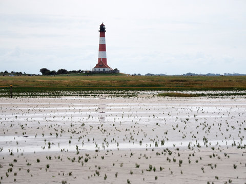 692 BESTE Warft BILDER, STOCK-FOTOS & -VEKTORGRAFIKEN | Adobe Stock