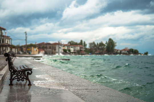 Agria-Bilder: Stock-Fotos & -Videos. | Adobe Stock