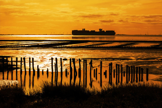 รูปภาพFascine – เลือกดูภาพถ่ายสต็อก เวกเตอร์ และวิดีโอ403 | Adobe Stock