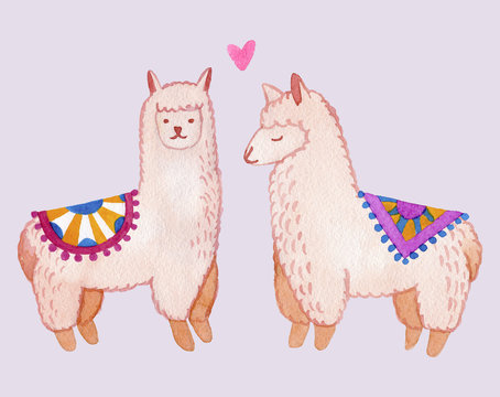 Cute Alpaca Art