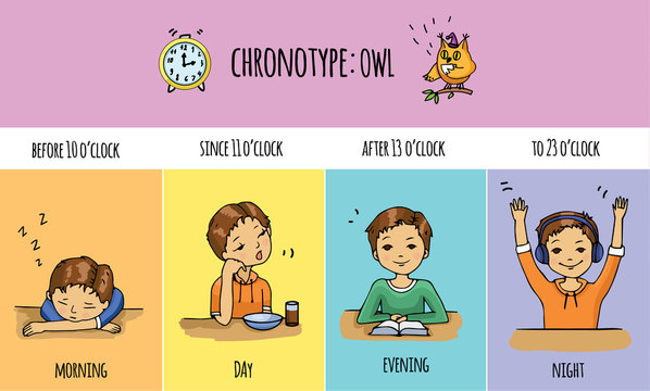 Chronotype Images – Browse 115 Stock Photos, Vectors, and Video | Adobe ...