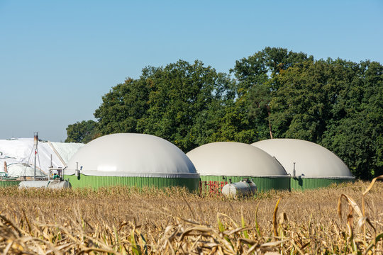 รูปภาพDigester – เลือกดูภาพถ่ายสต็อก เวกเตอร์ และวิดีโอ1,287 | Adobe Stock