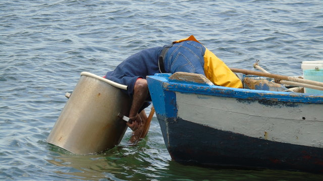 Scafandro Bilder – Durchsuchen 23 Archivfotos, Vektorgrafiken und ...