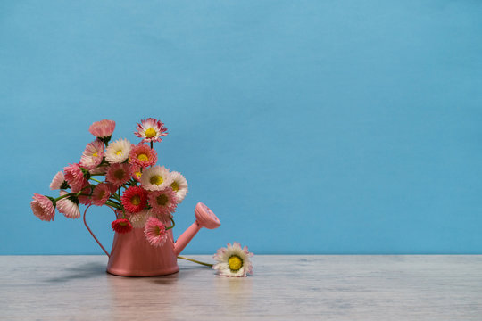 Marg Bilder – Durchsuchen 763 Archivfotos, Vektorgrafiken und Videos ...