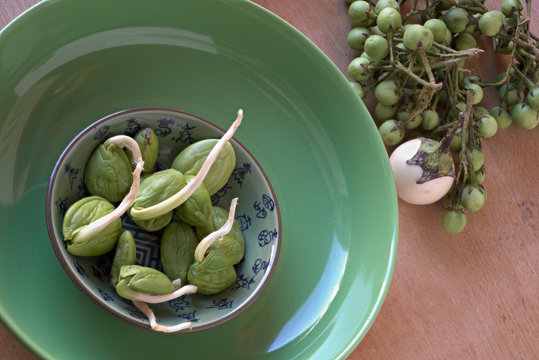 รูปภาพKeimend – เลือกดูภาพถ่ายสต็อก เวกเตอร์ และวิดีโอ117 | Adobe Stock