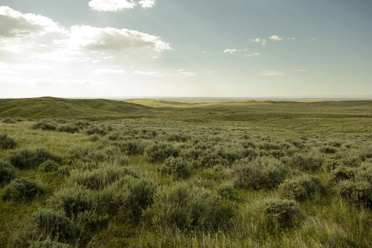 Free Field Images – Browse 24,263 Free Stock Photos, Vectors, and Video ...