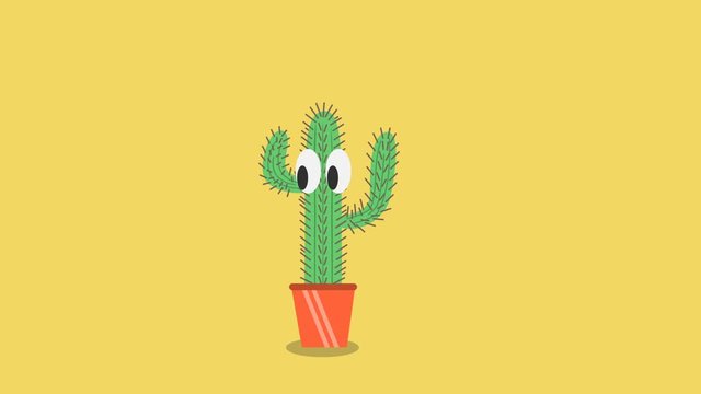 "Jumping Cactus" Video Footage – Browse 248 HD Stock Video and Footage ...