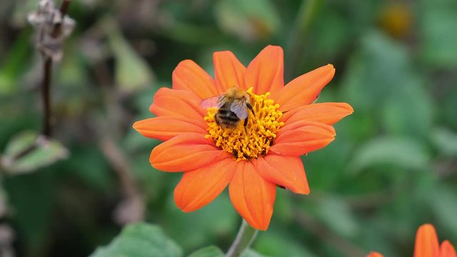 Probing Images – Browse 120,816 Stock Photos, Vectors, and Video ...