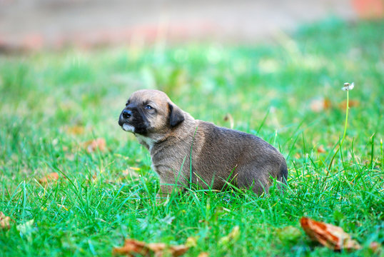 Shable Images – Browse 55 Stock Photos, Vectors, and Video | Adobe Stock