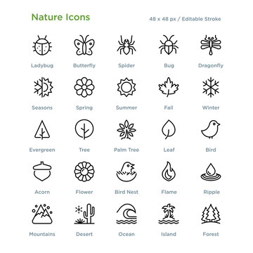 Flame Tree Flower Drawing Images – Browse 143 Stock Photos, Vectors ...