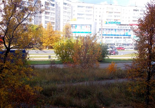 「Kusti」の写真素材 | 17件の無料イラスト画像 | Adobe Stock