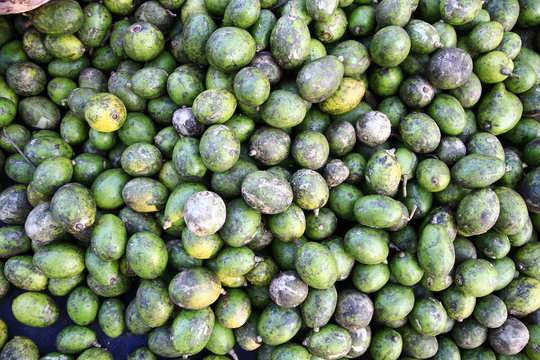 Makok Images – Browse 244 Stock Photos, Vectors, and Video | Adobe Stock