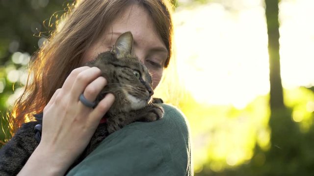 She-Cat bilder – Bläddra bland 375 stockfoton, vektorer och videor ...