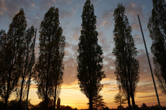 Pappeln bilder – Bläddra bland 897 stockfoton, vektorer och videor ...