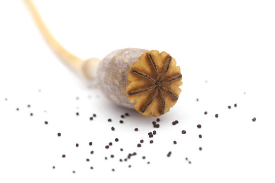 รูปภาพZydone – เลือกดูภาพถ่ายสต็อก เวกเตอร์ และวิดีโอ1,230 | Adobe Stock