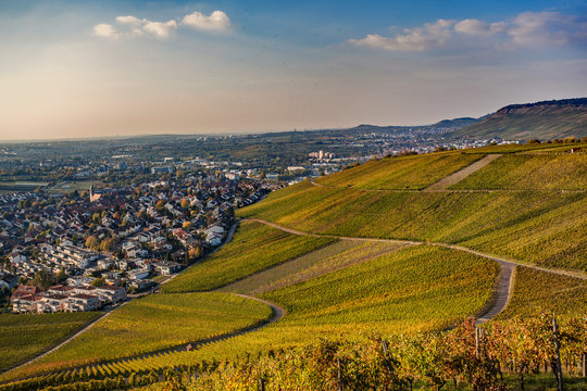 Weinstadt Images – Parcourir 2,104 le catalogue de photos, vecteurs et ...