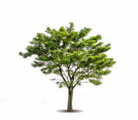 Entourage photos, royalty-free images, graphics, vectors & videos ...