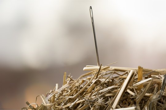 Haystack Bilder – Durchsuchen 113,214 Archivfotos, Vektorgrafiken und ...