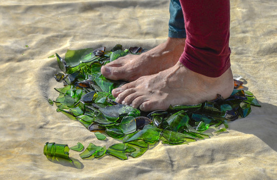 「Fachiro」の写真素材 | 16件の無料イラスト画像 | Adobe Stock